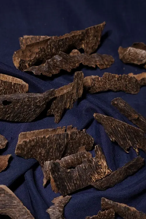 Jambo Trat Sweet Long‑Lasting Thai Trat Oud Chips